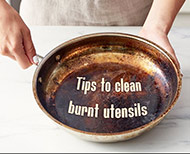 Spotted Cockroach In Your Kitchen? These Tips Will Help You Get Rid Of Them