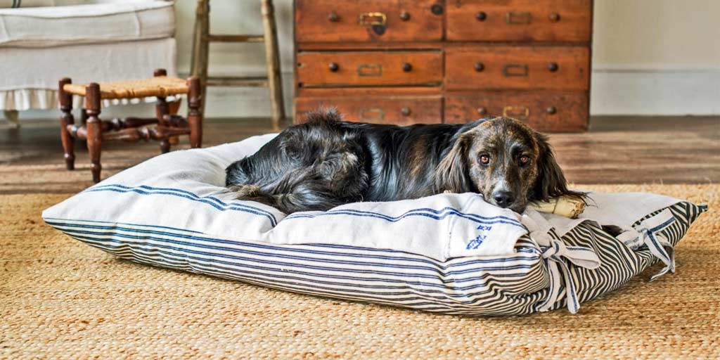 5 Easy Inexpensive Diy Dog Beds-5 Adorable DIY Dog Beds