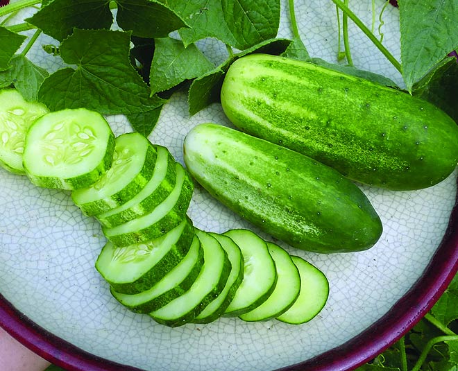Weight Loss Tips: Benefits of Cucumber Peel for Health Weight Loss and ...