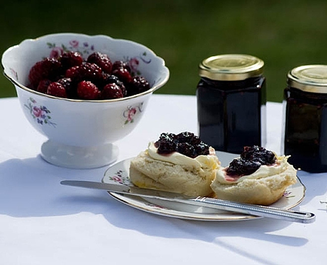 Prepare Delicious Shahtoot Desserts With These Easy Recipes | Herzindagi