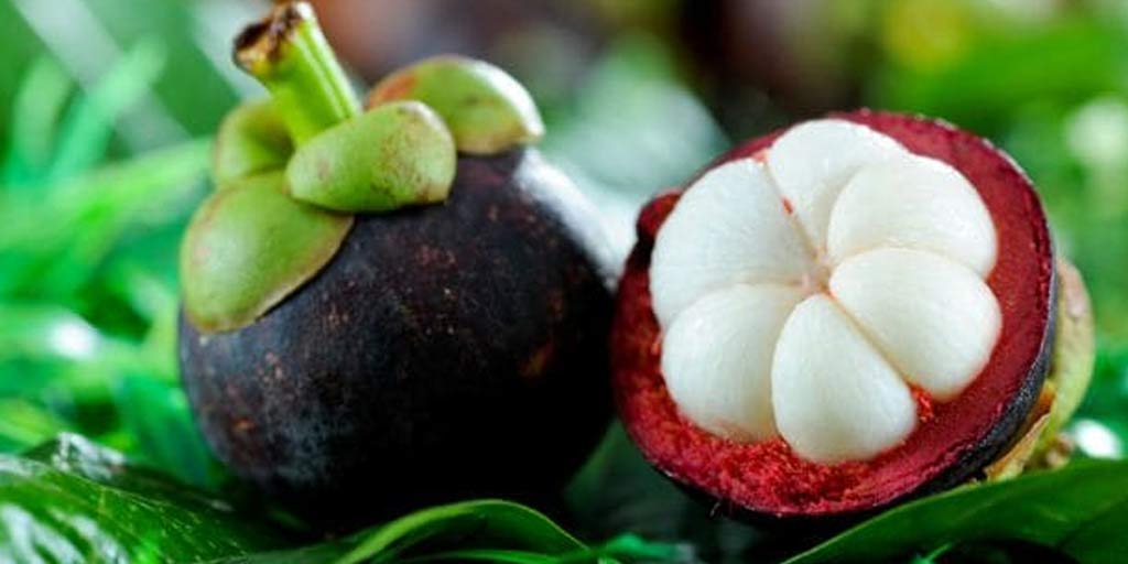 5 Rare And Exotic Fruits We Can Find In India