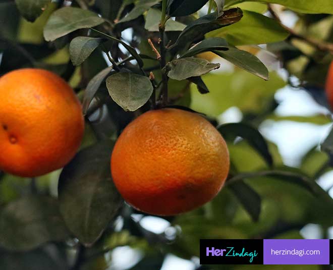Health Benefits Of Kinnow In Winters In Hindi | health benefits of ...