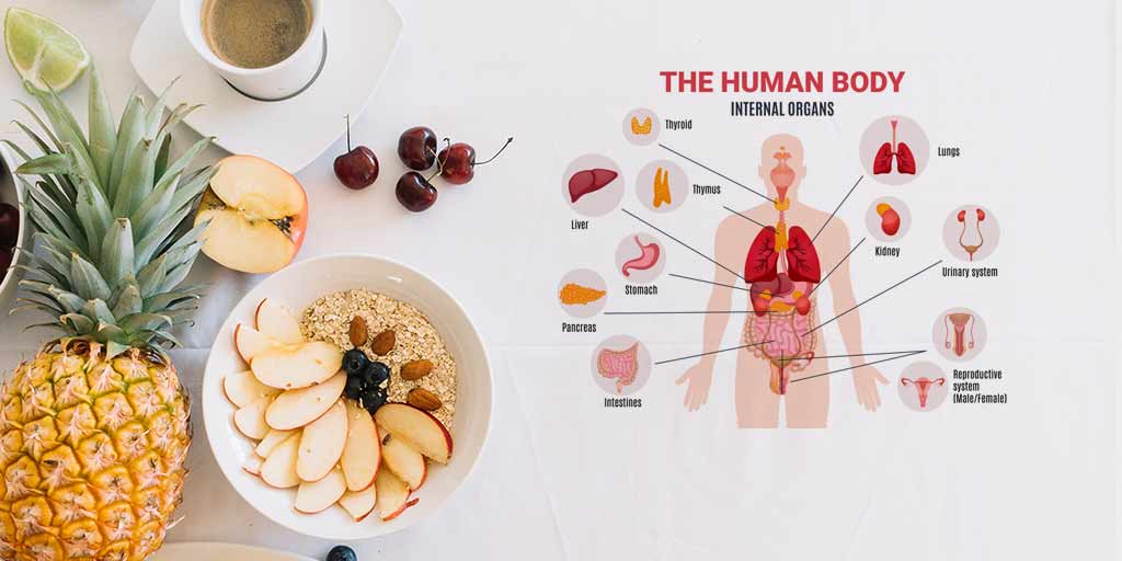 Foods Which Are Beneficial for Various Body Parts