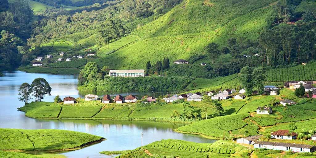 Check Out Our Complete Travel Guide To Munnar-Check Out Our Complete ...