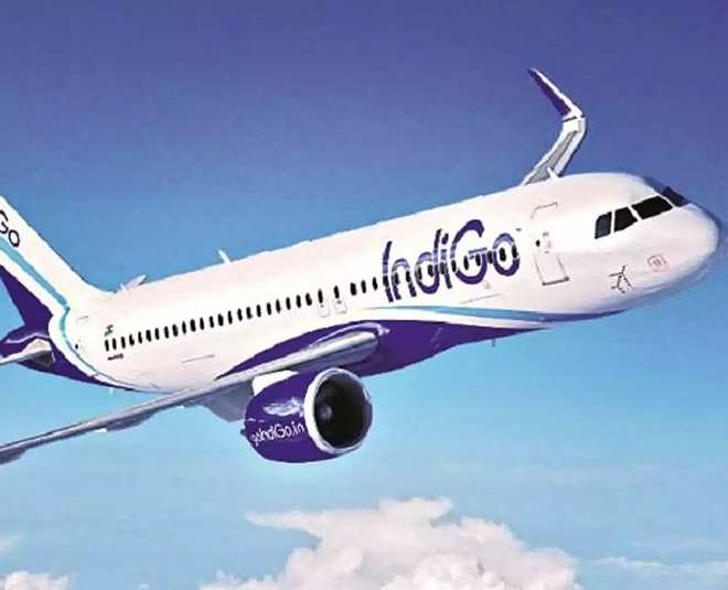 Indigo Grounds Pilot Over Misbehaviour With 75 Year Old Passengers ... Indigo Grounds Pilot Over Misbehaviour With 75 Year Old Passengers ...