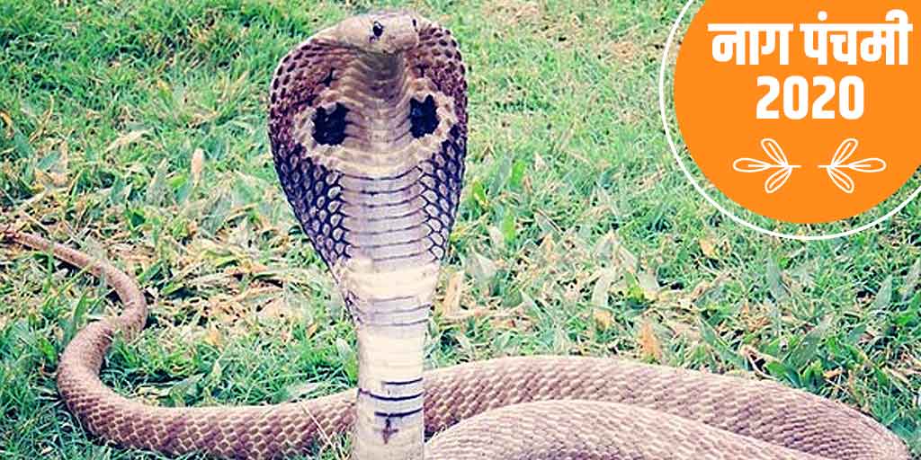 Nag Panchami 2020 Date Puja Vidhi Shubh Muhurat Mantra By Pandit Ji ... Nag Panchami 2020 Date Puja Vidhi Shubh Muhurat Mantra By Pandit Ji ...