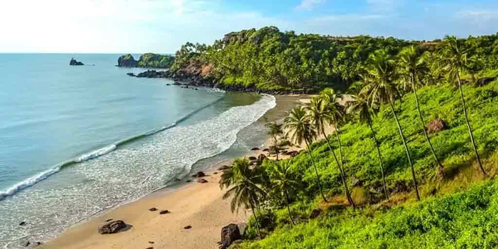 Travel Guide: 5 Best Activities To Do In South Goa | 5 best activities ...
