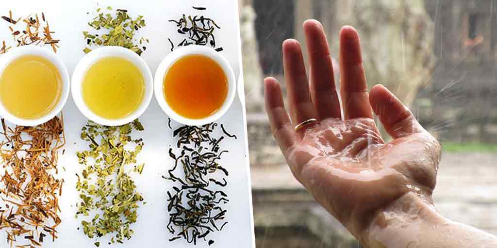 This Monsoon You Must Have These 5 Different Kinds Of Tea -This Monsoon ...