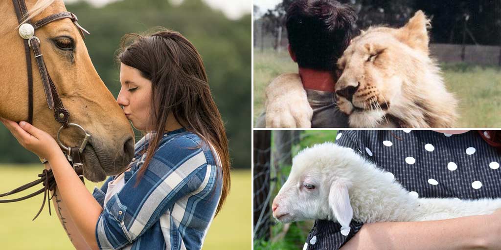 World Zoonoses Day: Know About Diseases That Spread From Animals To ...