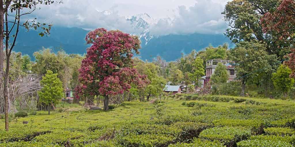 From Kareri Lake To Chamunda Devi Temple Visit These 5 Destinations In ...