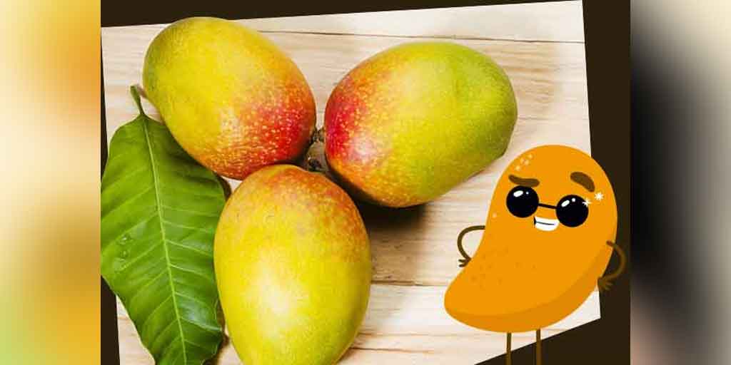 Know 10 Interesting Facts About Mango Fruit-आम से जुड़े ये 10 रोचक तथ् ...