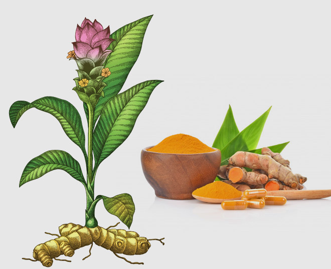 popular ways to grow turmeric plant at home