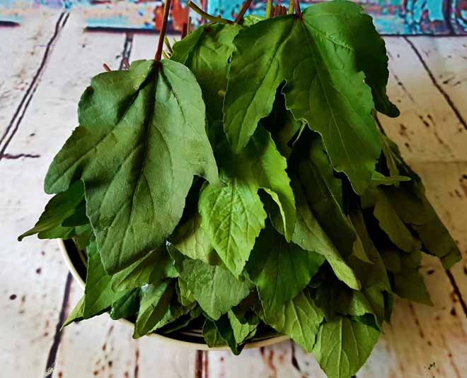 Health Benefits of Ambadi By Rujuta Diwekar | health benefits of ambadi ...