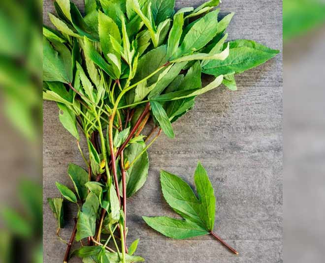 Health Benefits of Ambadi By Rujuta Diwekar | health benefits of ambadi ...