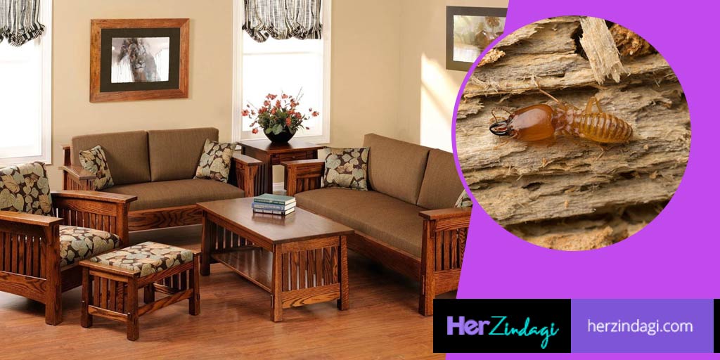 Tips To Save Home Furniture From Termites