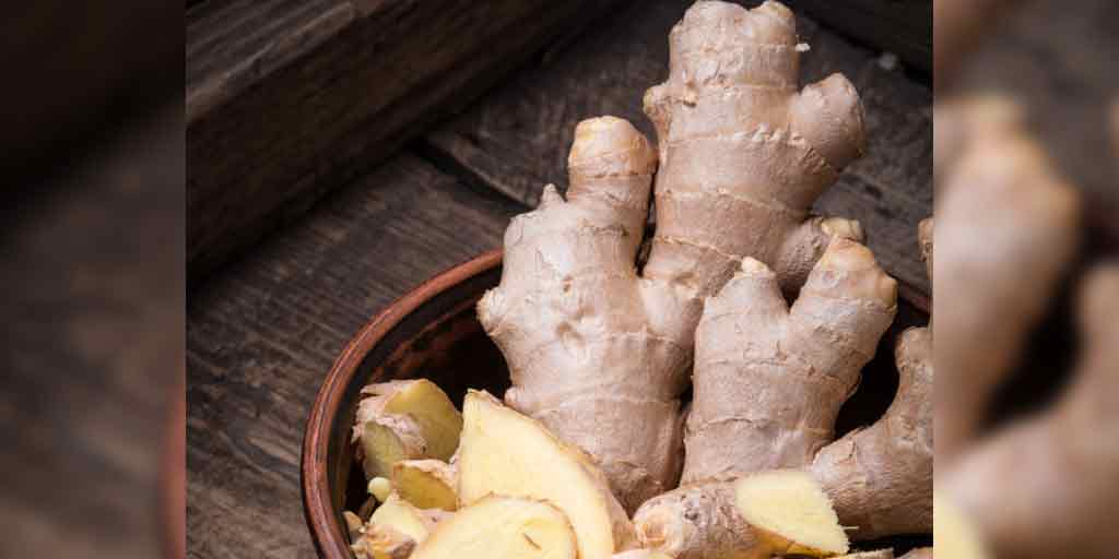 Tips to Pick Fresh and Good Ginger-ताजी और अच्छी अदरक खरीदने के लिए ये ...