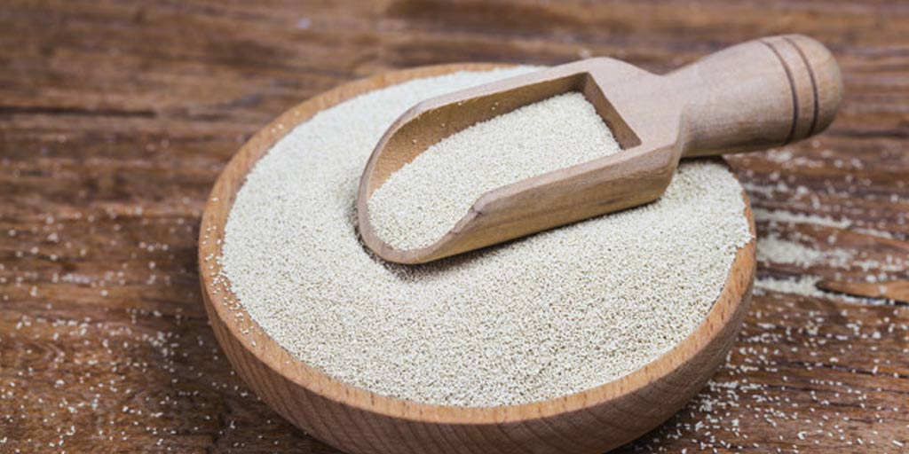 Yeast Definition Uses Britannica