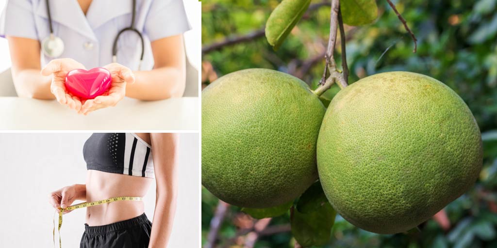 Chakotra Fruit Health Benefits In Hindi -जानें चकोतरा फल के सेहत से ...