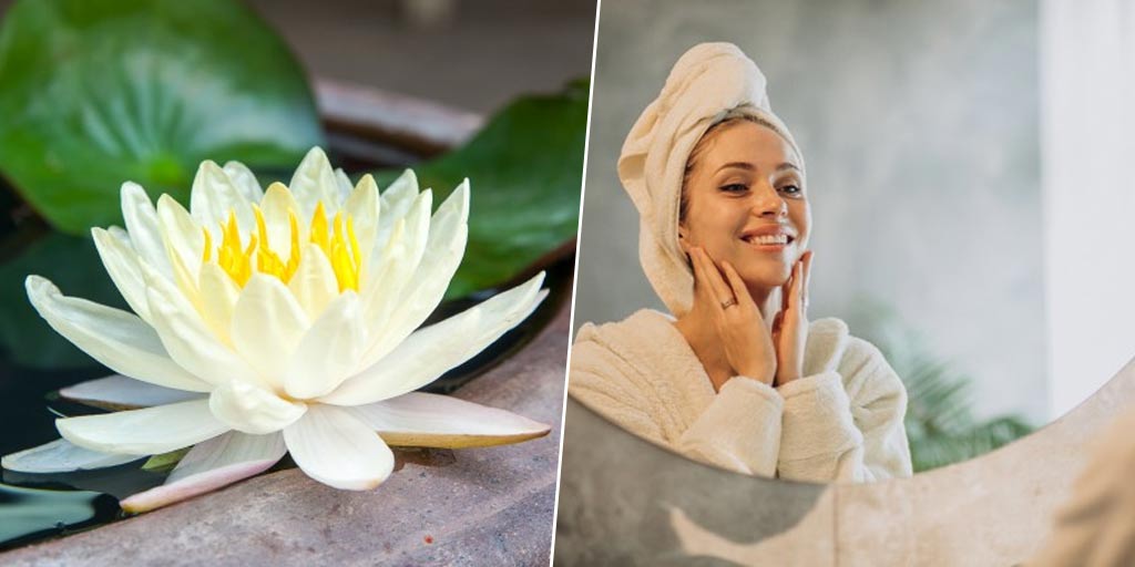 How To Use Lotus Flower For Skin And Hair-कमल के फूल से बढ़ाएं बाल और ...