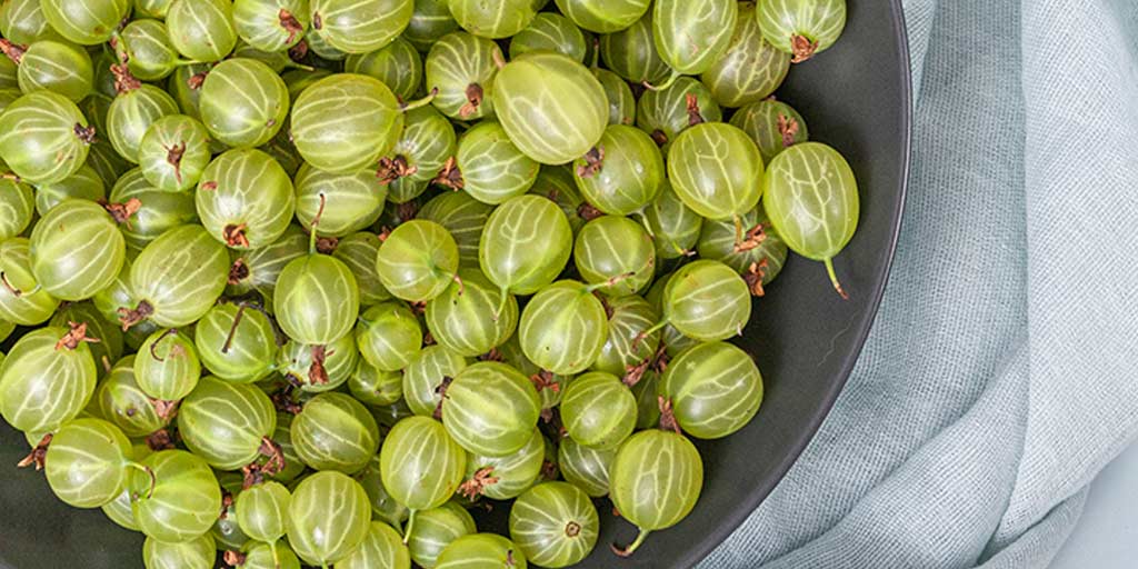 Prepare Healthy And Tasty Amla Jam At Home-Prepare Healthy And Tasty ...