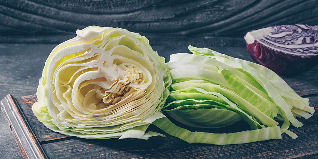 Don’t Throw Away Leftover Cabbage Leaves, Here Are 5 Ways To Use Them ...