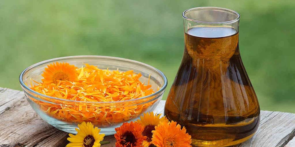 Here's Why You Should Use Calendula To Achieve A Flawless Glow On Your ...