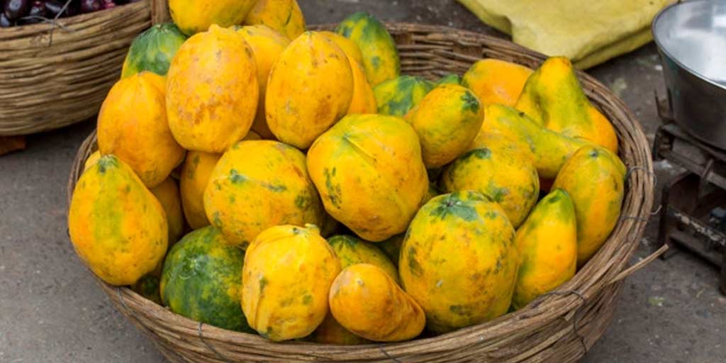 5 Amazing Tips To Buy Good Papaya In Hindi -अच्‍छा और मीठा पपीता खरीदने ...