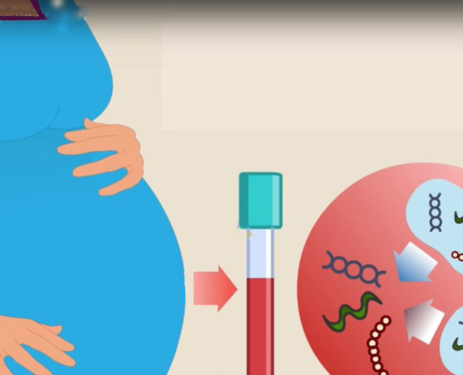 All You Need To Know about Maternal Screening Tests During Pregnancy ...