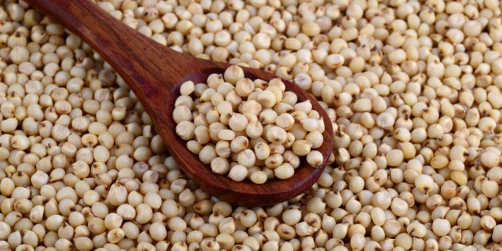 Amazing Health Benefits Of Jowar Or Sorghum In Hindi- ज्वार के सेहत से ...
