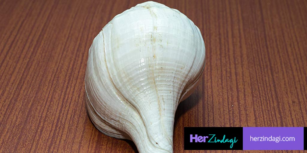 Astrologer Tips On Shankha Types And Benefits Of Placing It Home ...