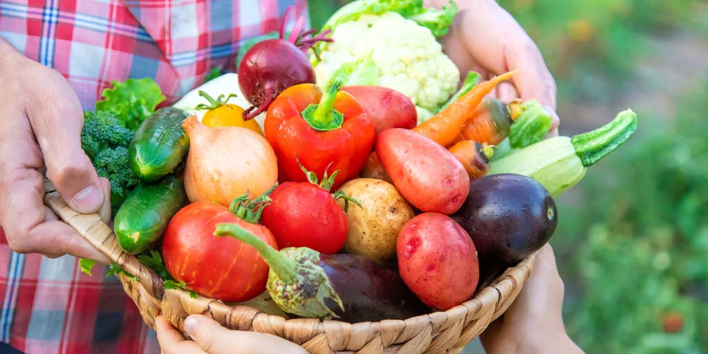 5 Herbs And Vegetables That Can Be Regrown At Home Easily | 5 herbs and ...