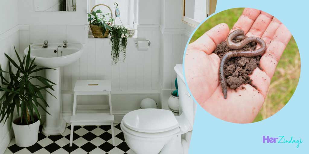 How To Get Rid Of Earthworms In Bathroom In Hindi | how to get rid of ...