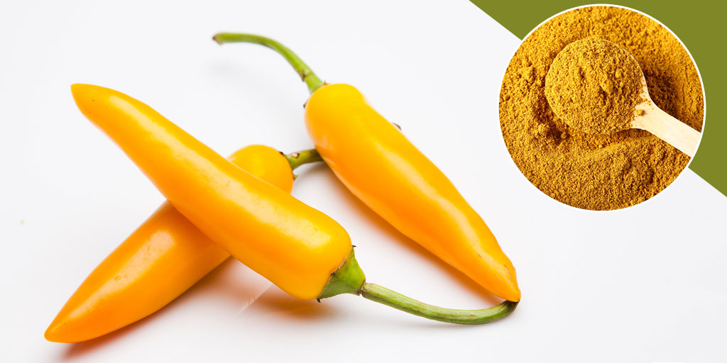 How to Make Yellow Mirch Powder With Green Chilli-हरी मिर्च से घर पर इस ...