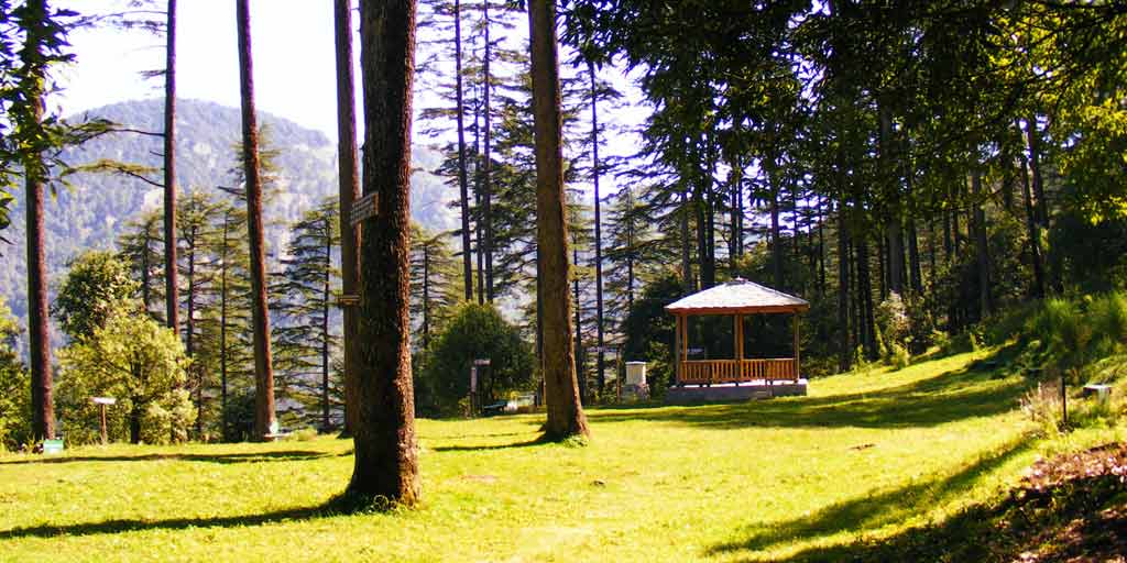 Here Is Why Your Next Trip Should Be To Dhanaulti | HerZindagi