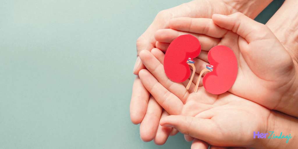 The 7 Most Important Functions Of Your Kidney-Take A Look At The 7 Most ...