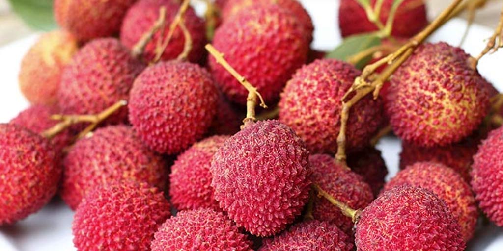 6 Reasons You Should Steer Away From Lychees-Lychee Toxins Killed 50 ...