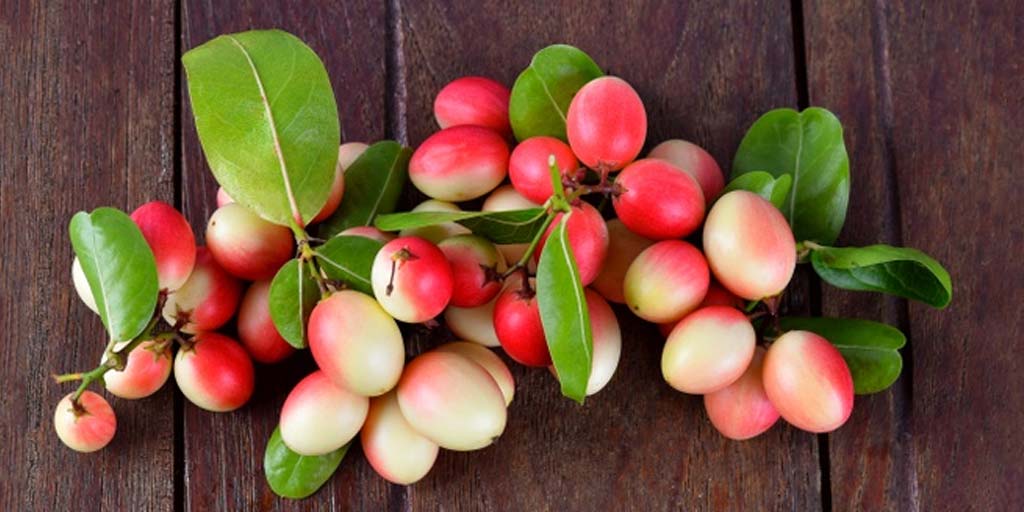 Karonda Fruit Health Benefits In Hindi | karonda fruit health benefits ...