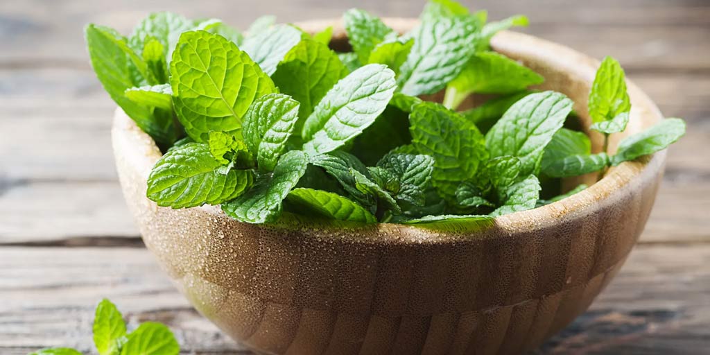 Here's Everything You Need To Know About Using Mint For Skin-Here's ...