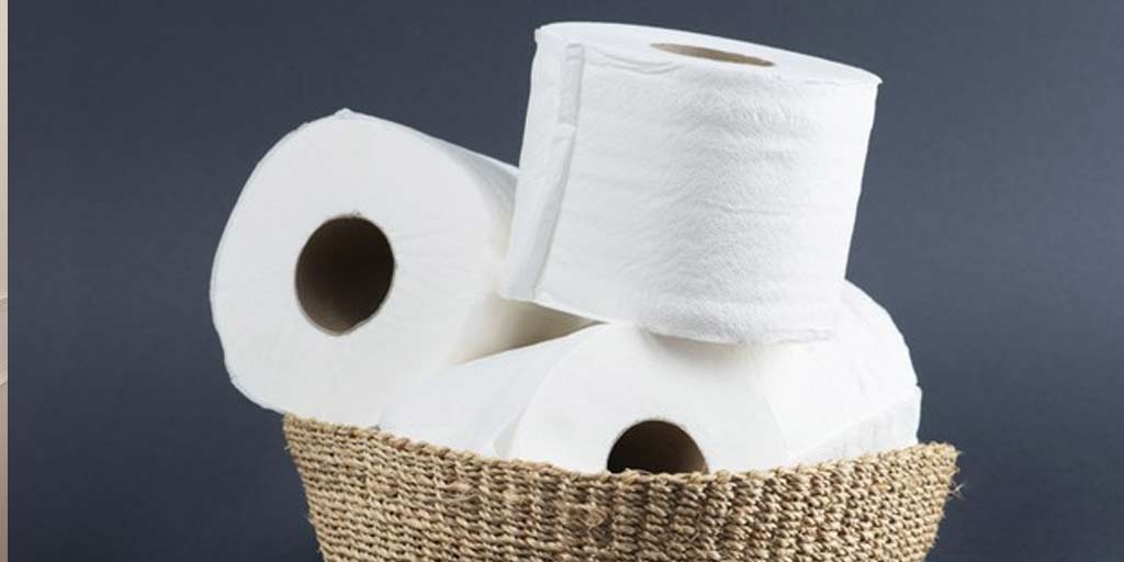 Amazing Ways To Repurpose Tissue Paper Rolls At Home In Hindi