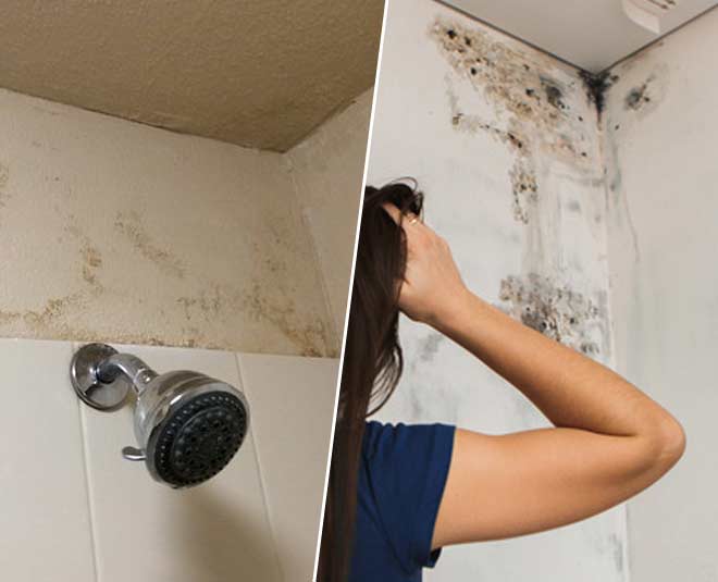Tips To Clean Mold From Bathroom Walls In Hindi Tips To Clean Mold
