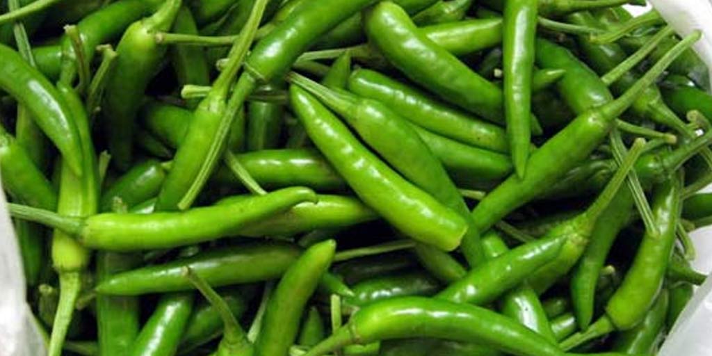 How To Store Chilli Properly