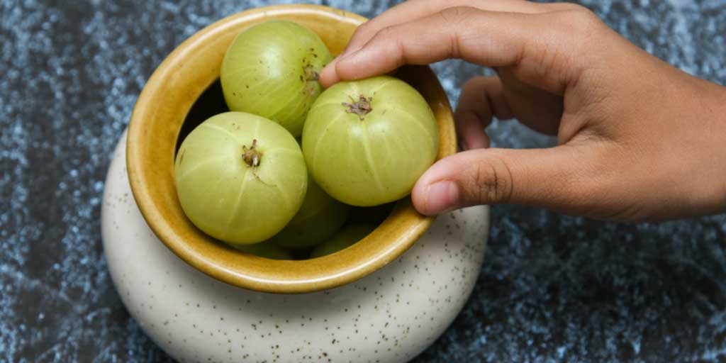 Benefits Of Eating Amla Daily In Summers By Expert | benefits of eating ...