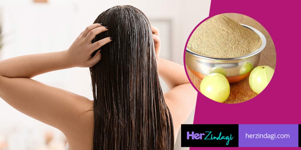 Amla Powder Aloe Vera Gel Pack For Hair Loss | amla powder aloe vera ...