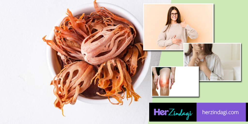 Javitri Health Benefits In Hindi | javitri health benefits | HerZindagi