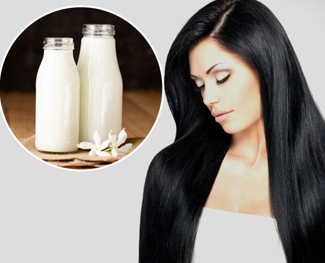 Milk On Hair Benefits And Right Way Of Using It By Expert | milk on ...
