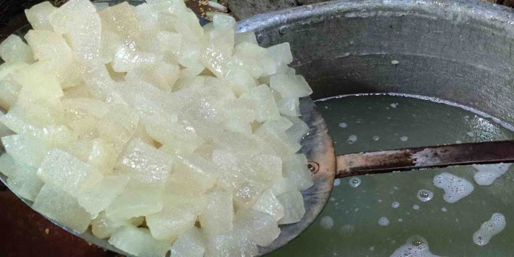 Do You Know How Petha is Made? -क्या आप जानते हैं किस चीज़ से बनता है ...
