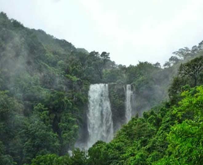Know About Chandoli National Park In Hindi | know about chandoli ...