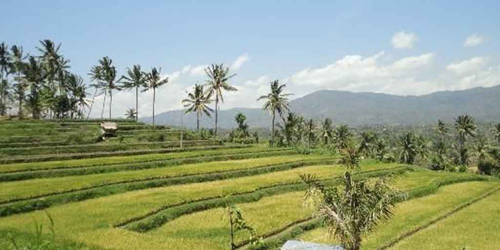 Interesting Facts About Mayong Village Assam-काले जादू के लिए मशहूर इस ...