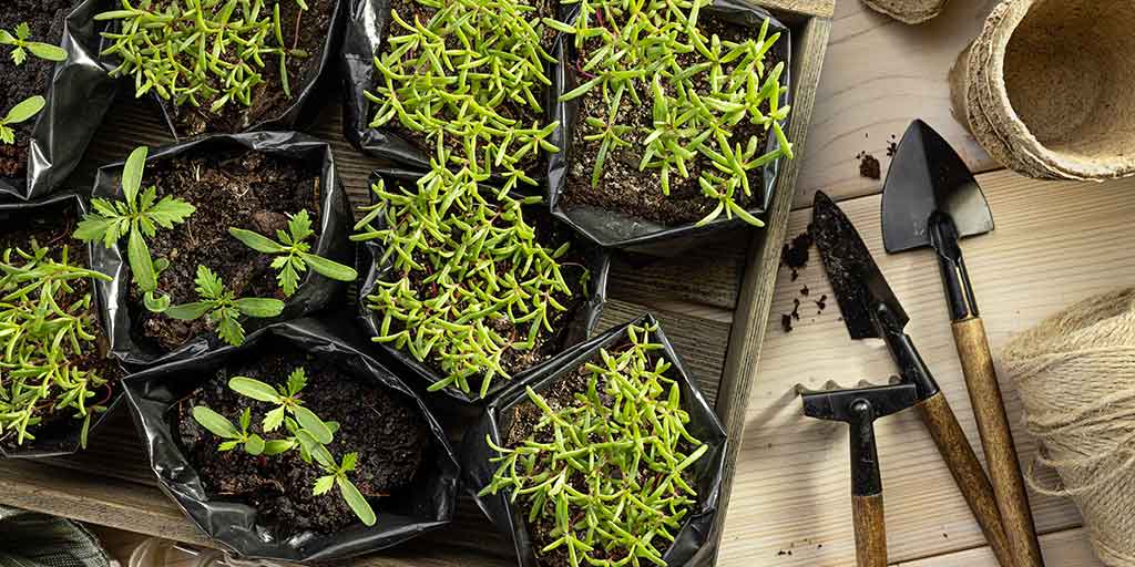 Gardening Hacks That Work Wonderfully-5 Gardening Hacks That Work ...