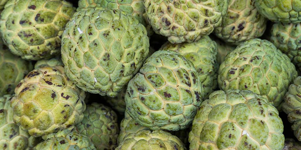 Sitaphal Fears and Facts By Rujuta -सीताफल खाते समय आपको भी सताता है इन ...